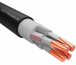 0.6/1KV TFR-8 16SQ 1C 10M 소방케이블 | 전기 · 전자 - 전기 - 전선가공/탈피/차핑기 | 현민전기전자 1151425