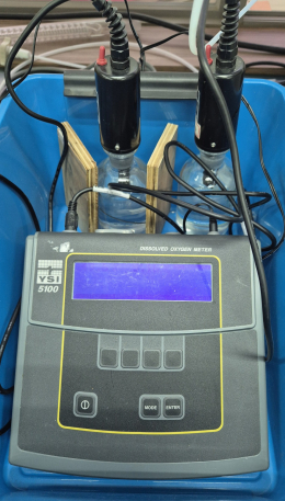 DISSOLVED OX YGEN METER YSI 5100 | [중고] DISSOLVED OX YGEN METER, 자동화 ...